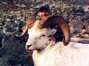 Brooks Range Dall Sheep – Alaska