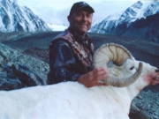 Brooks Range Dall Sheep – Alaska