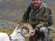 Brooks Range Dall Sheep – Alaska