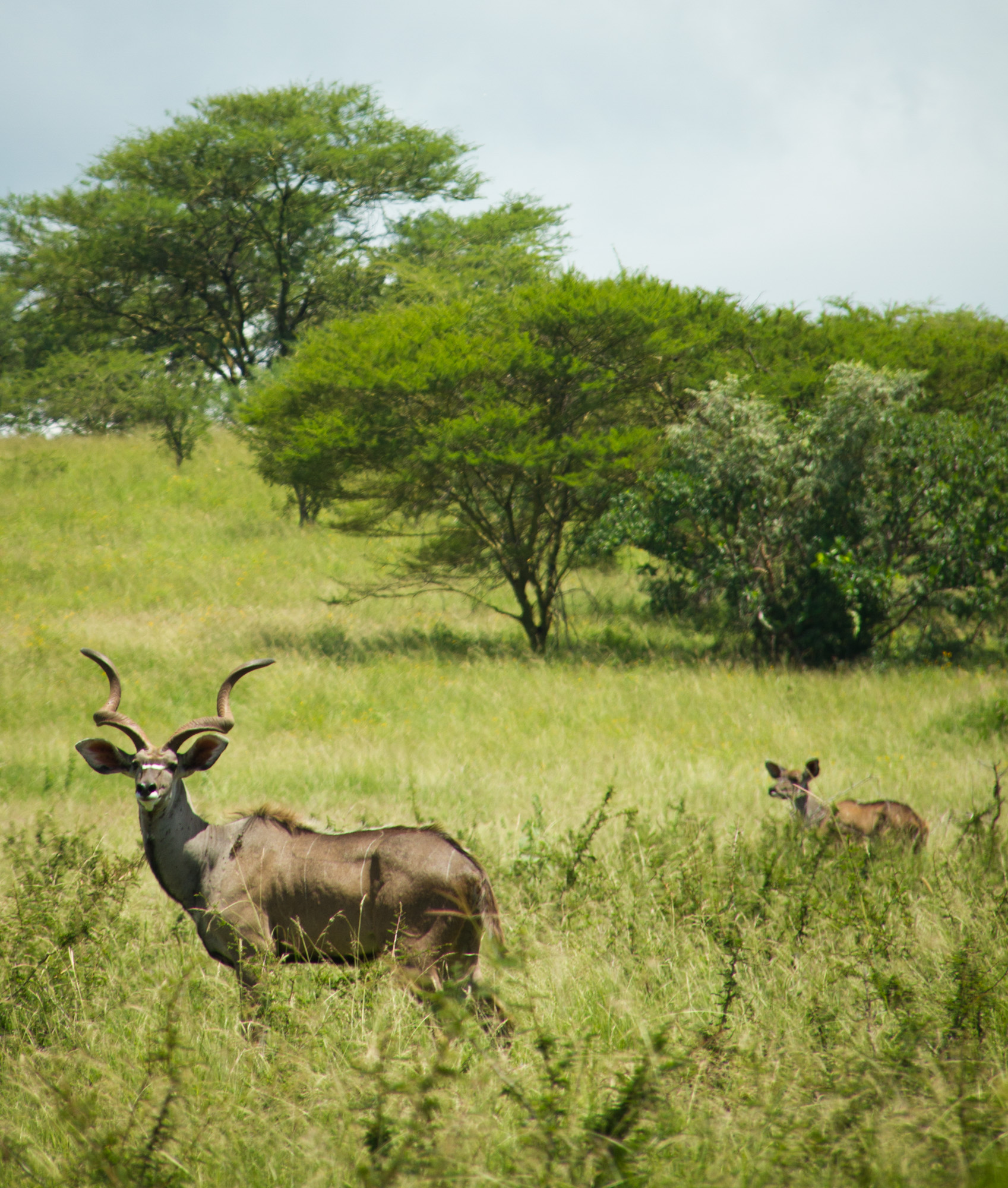 Hunting Books and Literature including Jack Atcheson Senior’s Books
